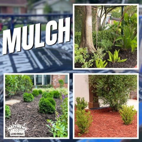 Benefits of Mulch - Matthews Landscape and Pest